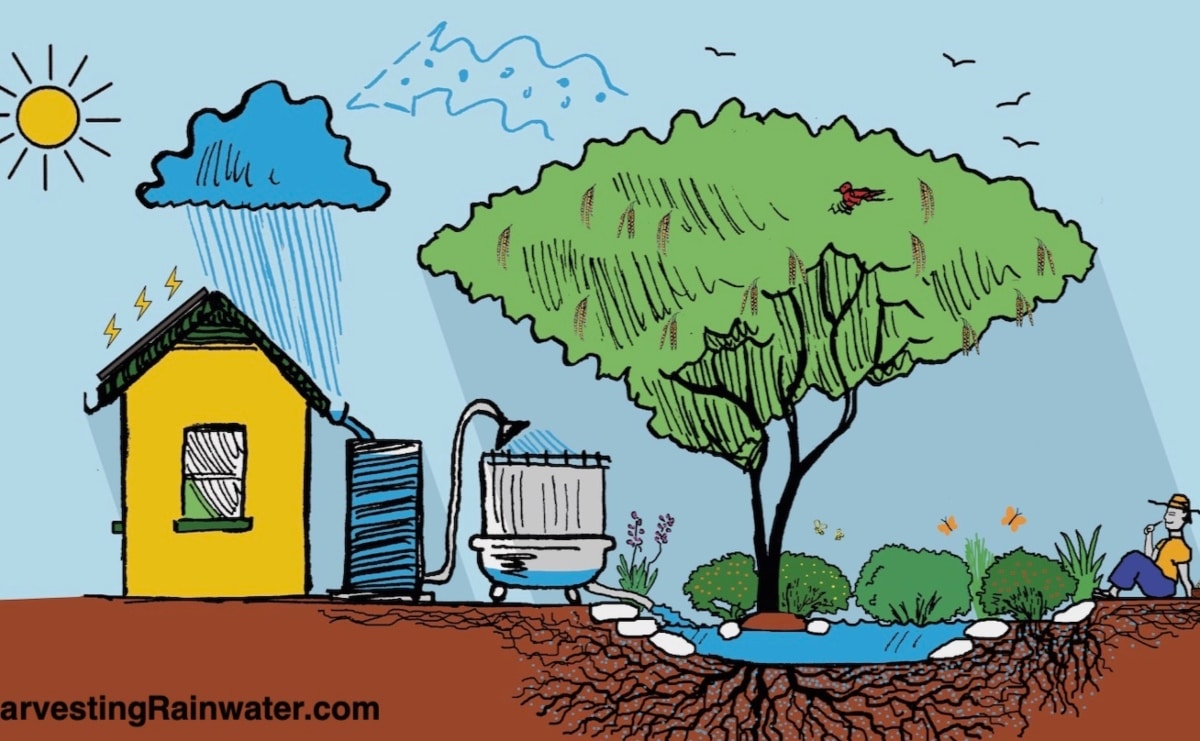 FUNdamentals of Rainwater Harvesting – Deceleration