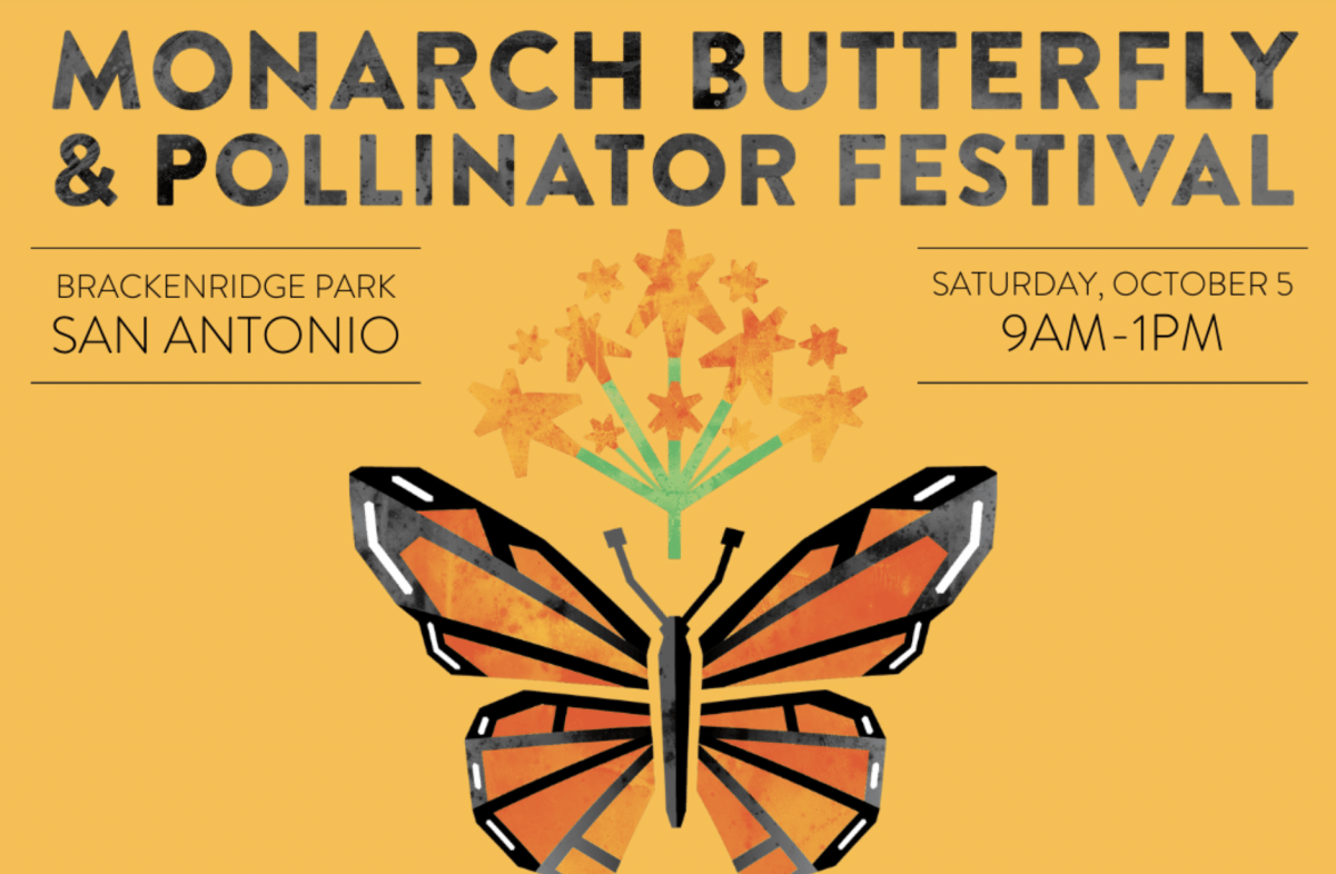 Monarch Butterfly and Pollinator Festival – Deceleration